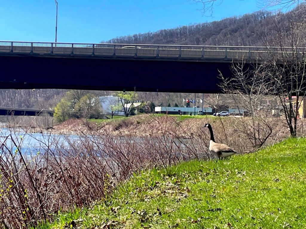 exploreVenango | Venango County's #1 Source for News & Information ...